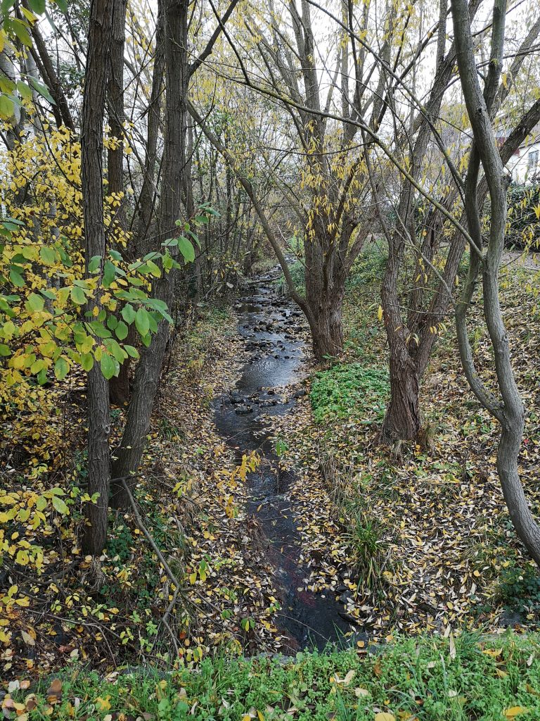 Der Liederbach - Kelkheim-entdecken.de